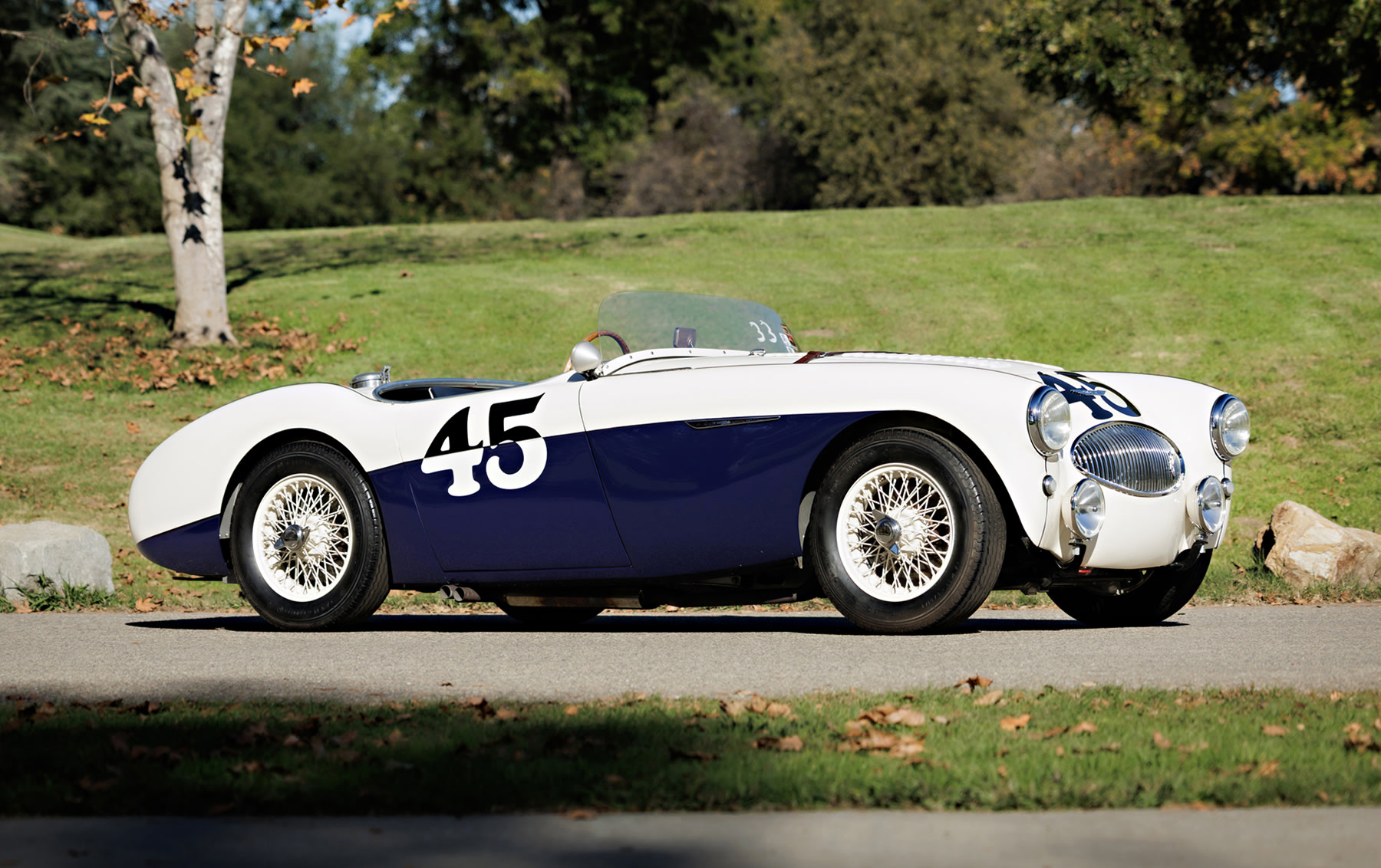 1955 Austin-Healey 100S | Gooding Christie’s